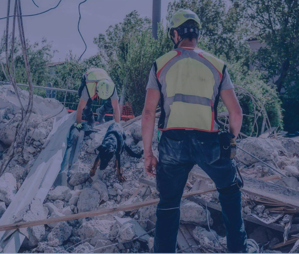 Emergency Program Management | Odysseus Enterprise System